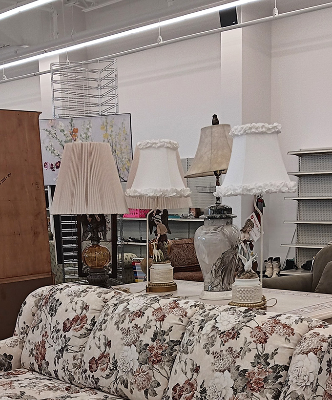 These elegant lampshades await their perfect match, perched atop floral furniture like fancy hats at a garden party for home d&eacute;cor.