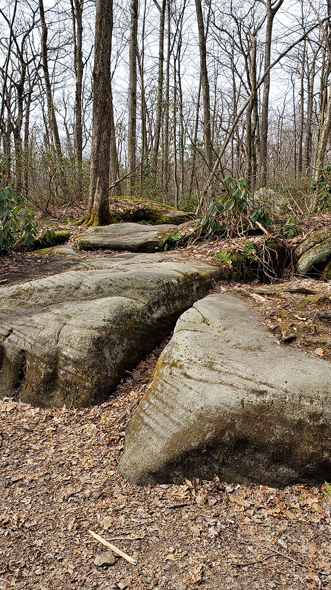 Nature's jigsaw puzzle: massive stone slabs arranged by glaciers long before humans invented the selfie stick.