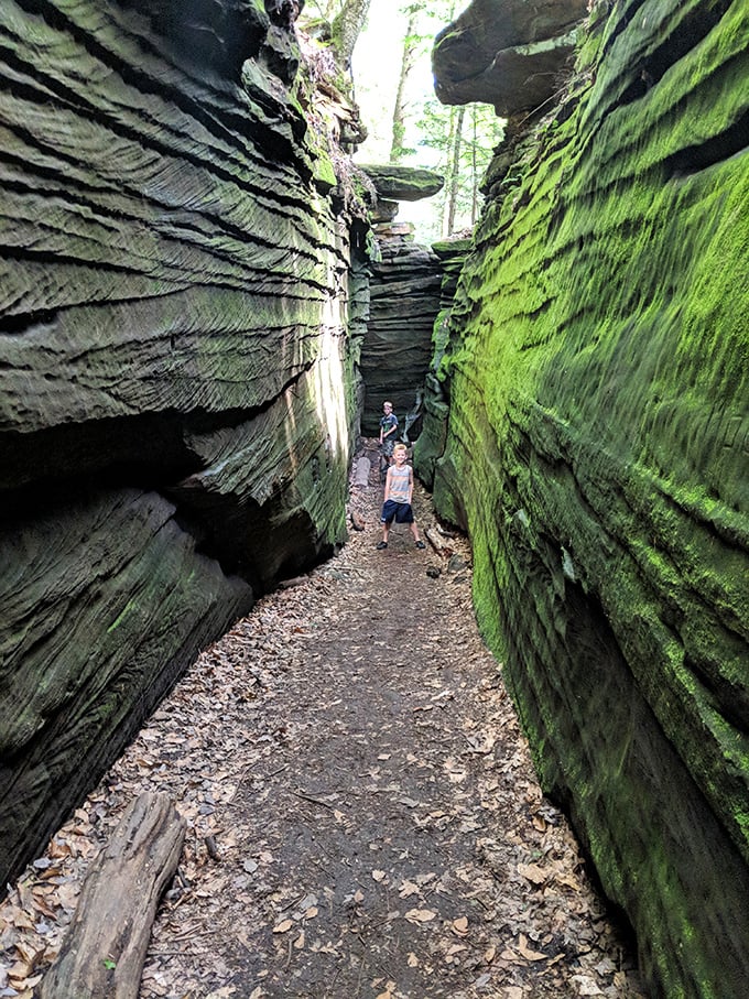 These narrow passages between towering rock walls feel like walking through Earth's own art gallery, no admission required.