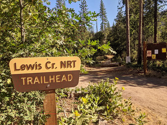 Lewis Creek Trail beckons hikers with its shady path and wooden sign&mdash;nature's gym membership with no monthly fees or complicated equipment.