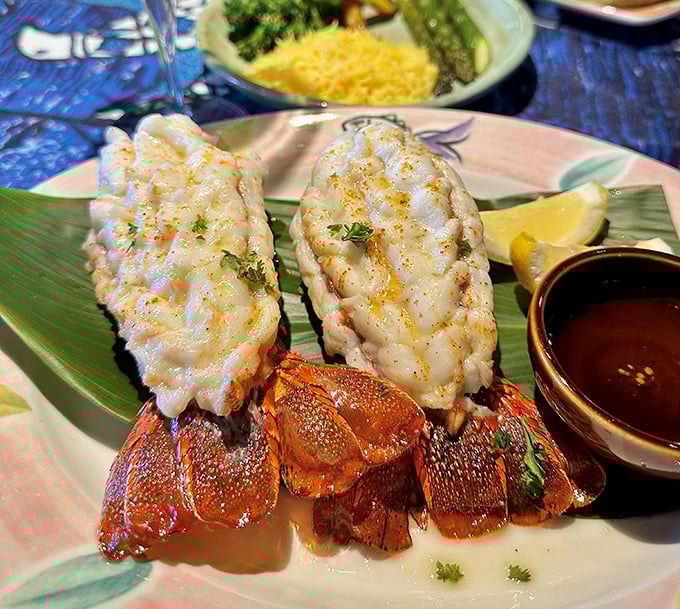 Lobster tails so perfect they deserve their own Instagram account. The presentation says "fine dining" while the portion size whispers "you won't need dinner tomorrow."