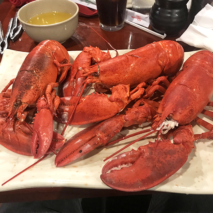 Bright red lobsters that would make any New England fisherman proud - all-you-can-eat luxury at its finest.