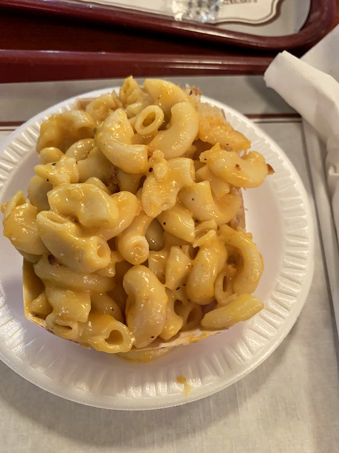 Mac and cheese that doesn't try to be fancy with truffle oil or breadcrumbs. Just honest, creamy comfort food that knows its role.