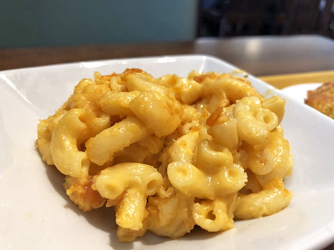 Mac and cheese that doesn't know it's a side dish &ndash; this creamy masterpiece demands center stage attention.