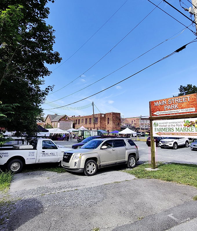 Main Street Park transforms into a bustling marketplace where locals gather, proving that the best social network has always been face-to-face conversation.