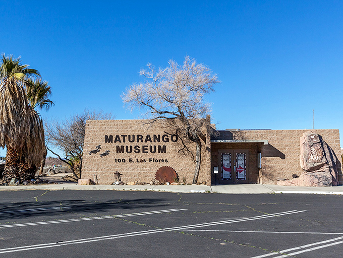 The Maturango Museum stands as Ridgecrest's cultural heart, where desert history and natural wonders come together under one adobe-style roof.