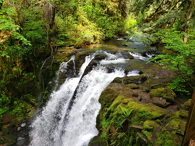 McDowell Creek Falls proves you don't need to battle Portland traffic to find postcard-worthy natural beauty.