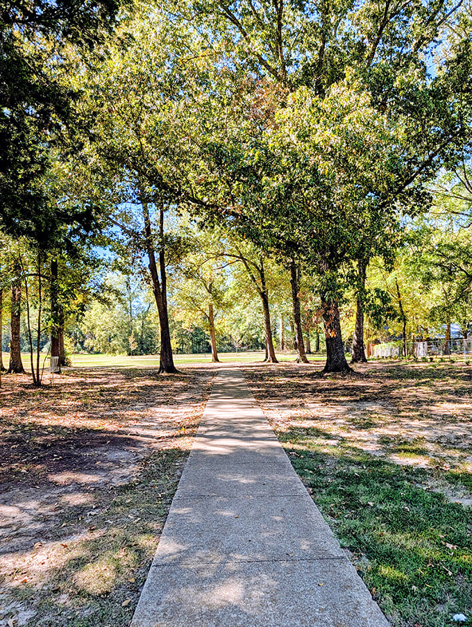 McKee Park's tree-lined pathways offer tranquil moments of reflection, where dappled sunlight creates nature's own stained-glass effect on your morning walk.