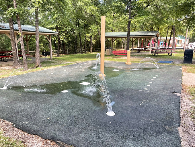Mossy Head Park's splash pad&mdash;where grandkids burn energy and grandparents secretly wish they could join in without judgment.