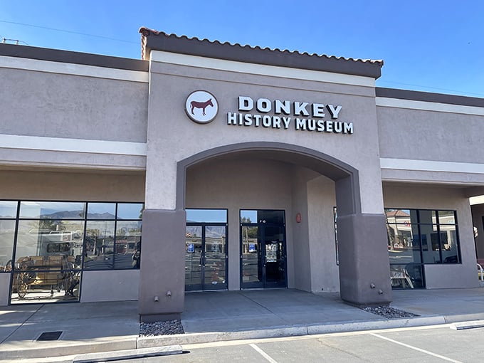 Yes, there's a museum dedicated to donkeys, which makes perfect sense once you remember this town values character over pretension.