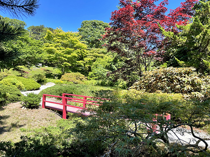 Mytoi Garden's red footbridge pops against verdant Japanese maples&mdash;a tranquil oasis that feels like someone dropped Kyoto into the middle of New England.