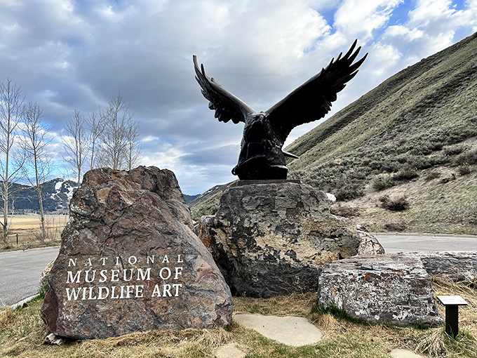 This eagle sculpture guards Wyoming's premier wildlife art collection like a majestic bouncer with excellent taste.