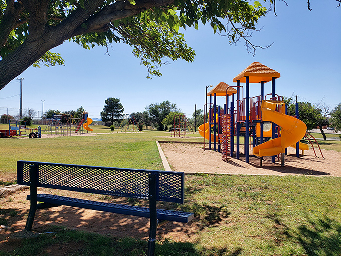 Newman Park's playground sits waiting for laughter under the shade of old trees&mdash;a timeless scene that hasn't changed much since Eisenhower was president.