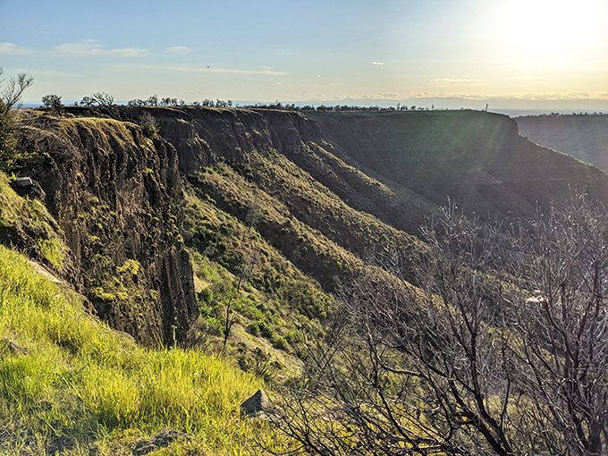 The dramatic canyon views near Paradise rival anything in a National Geographic spread. Mother Nature showing off without charging admission!