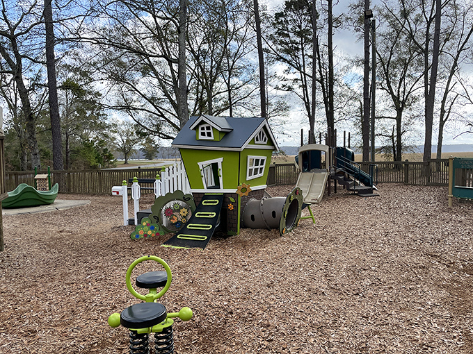 Old Creek Town Recreation Area offers whimsical playgrounds where grandkids can burn energy while you contemplate the blissful absence of mortgage payments.