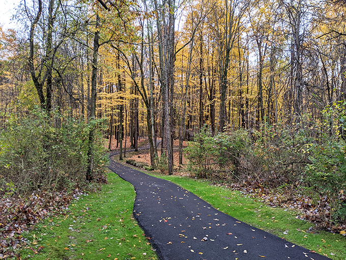 Fall in Ohio isn't just a season, it's a spectacular performance. These winding trails through golden forests make leaf-peeping feel like a treasure hunt.