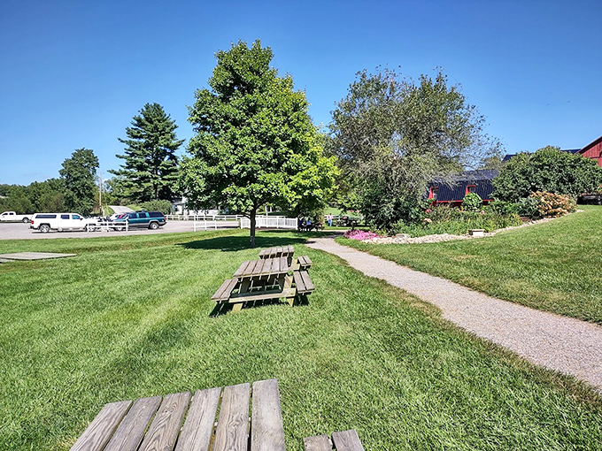 A picnic table where conversations happen face-to-face instead of through emojis. Revolutionary concept, isn't it?