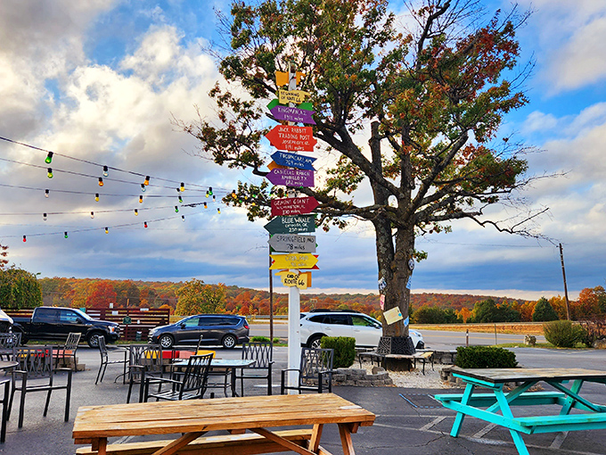Choose your next adventure! This colorful signpost points to everywhere but reality, which is exactly what a good road trip needs.