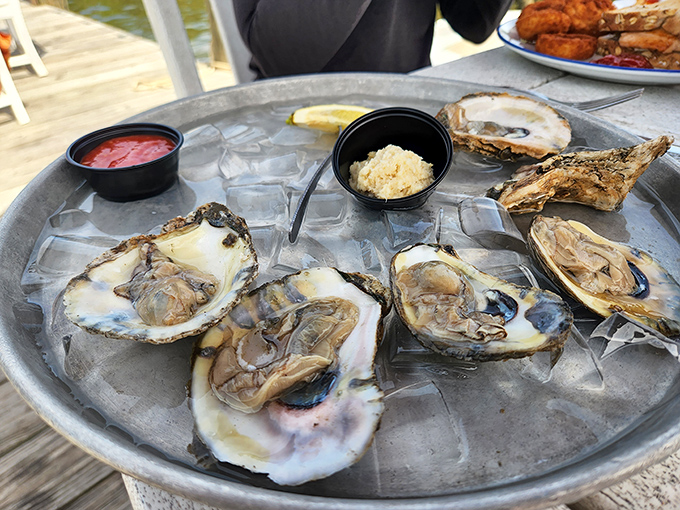 Fresh oysters on ice with cocktail sauce and horseradish, served on a metal platter that means serious business.