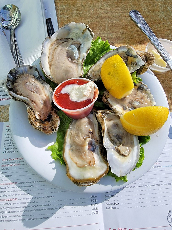 These oysters aren't just fresh; they're practically still gossiping about what happened in the bay this morning.