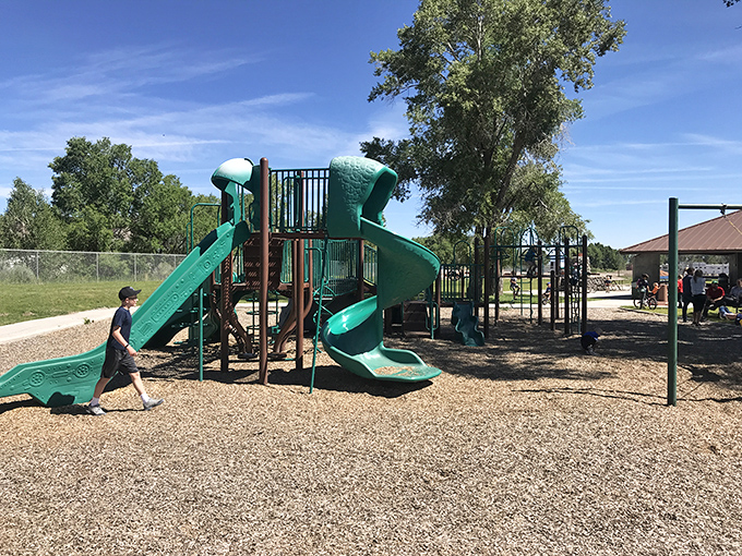 Childhood simplified: A playground where kids actually play outside instead of asking for the Wi-Fi password.