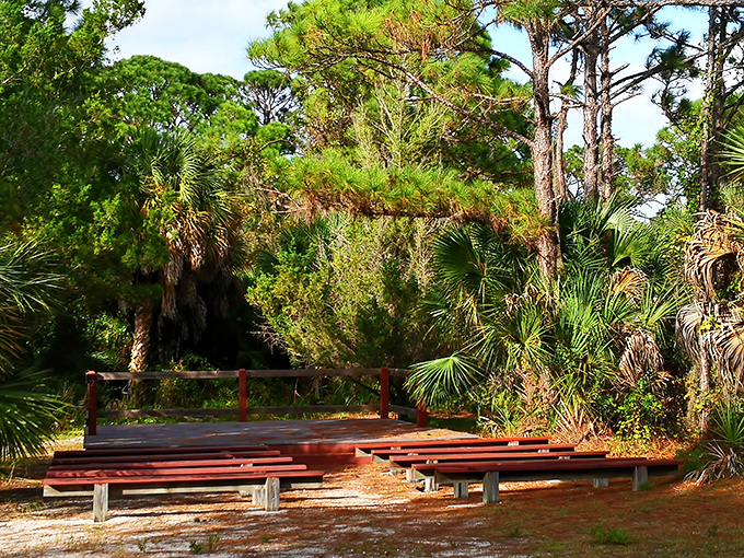 Nature's amphitheater awaits. This simple outdoor gathering space proves Englewood understands that sometimes the best entertainment comes with a soundtrack of rustling palms and chirping birds.