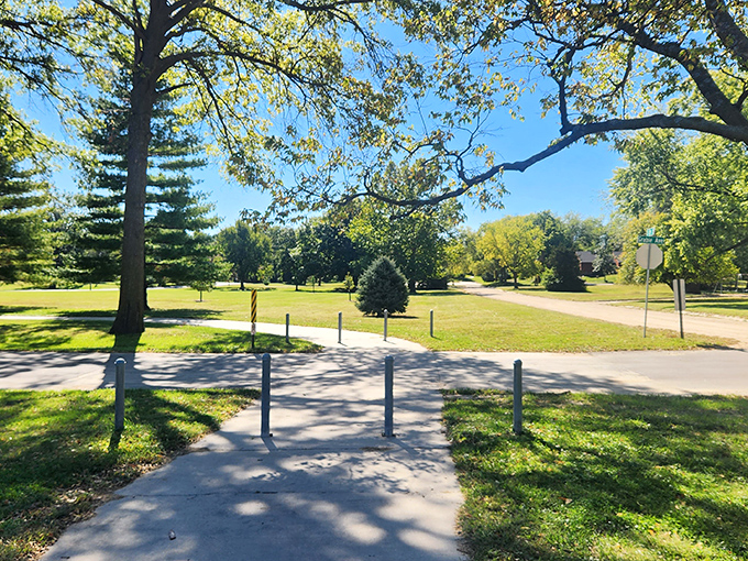 This tranquil park pathway invites leisurely strolls where the only rush hour involves squirrels racing to claim the perfect acorn.