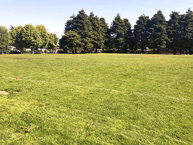 This expansive green space provides the perfect backdrop for impromptu frisbee tournaments or that paperback you've been meaning to finish.