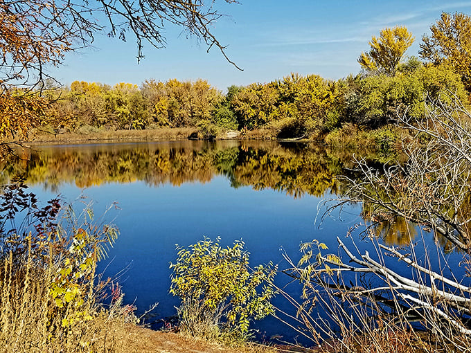 Mother Nature showing off her reflection game at the Payette Greenbelt Pond. Those fall colors are doing what Instagram filters only dream of achieving. 