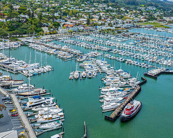 Not just a marina, but a floating neighborhood where boats rest in perfect formation like keys on a nautical piano.