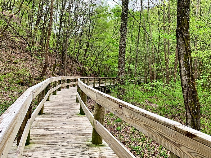 Nature's own stress reliever: Persimmon Ridge Park's wooden boardwalk invites you to wander through Tennessee greenery without having to worry about ticks or trail maps.