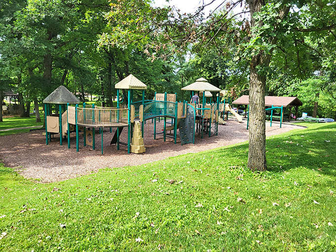 Phelps Park playground: where grandkids burn energy while you enjoy shade trees and remember when playgrounds were just swings.