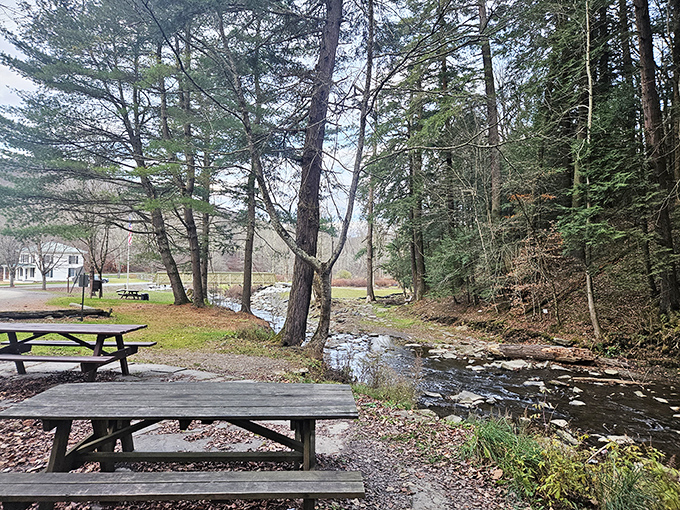 Picnic tables positioned for front-row seats to nature's symphony. Bring sandwiches, but leave your worries in the car.