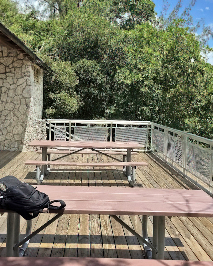 Picnic paradise awaits with tables positioned for optimal people-watching and nature-gazing. The perfect spot to refuel during your park adventure.