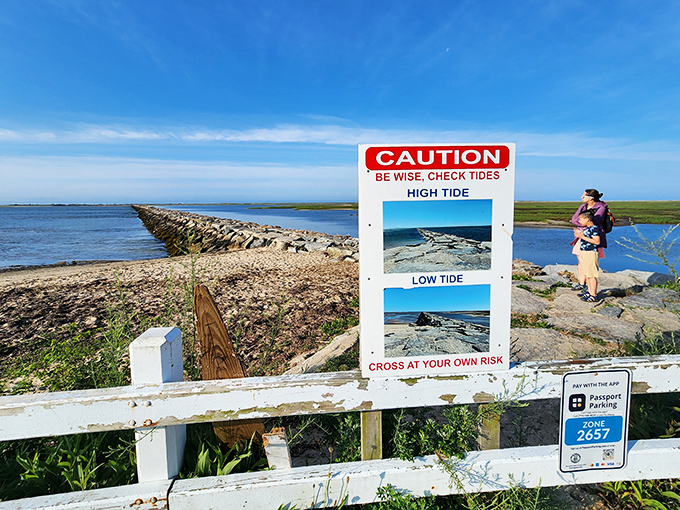 The breakwater to Long Point: where adventure meets low tide and questionable life choices meet reality.