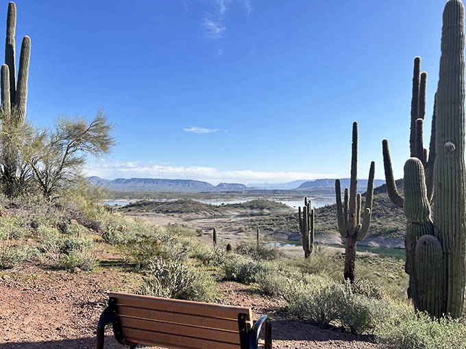 Take a seat, take a breath. This trailside bench offers one of the most spectacular desert-meets-water views in the entire Southwest.