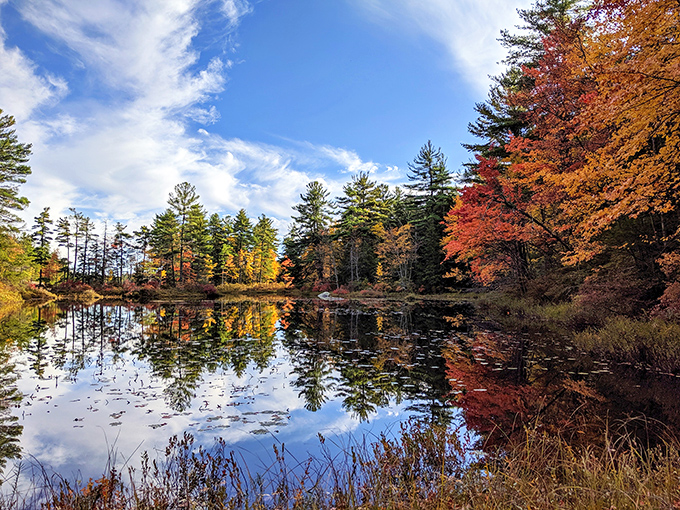 Pisgah State Park's ponds reflect autumn colors like nature's own mirror, offering postcard views without the postcard prices for anyone willing to take a short walk.