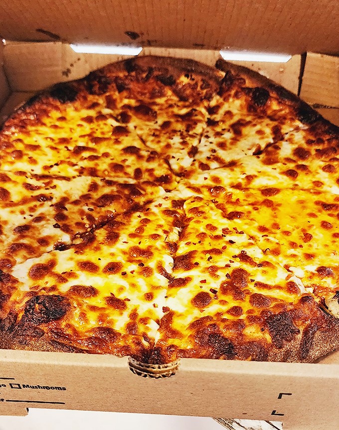 This isn't just cheese pizza &ndash; it's a golden-topped disc of comfort that proves Forest Hills doesn't just excel at sandwiches.