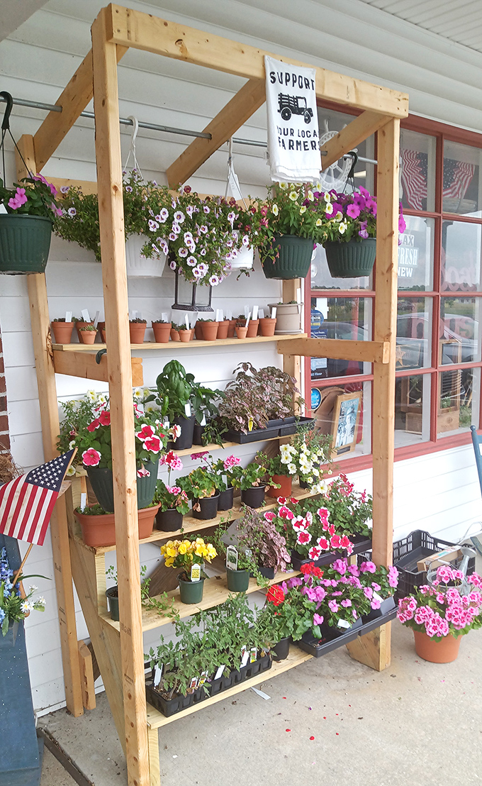 Even the entrance celebrates seasons past, with blooms that would make any grandmother's porch proud.