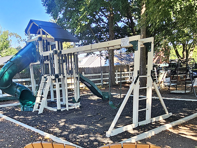 Not a screen in sight at this playground where Amish children enjoy simple pleasures that somehow never needed an upgrade.