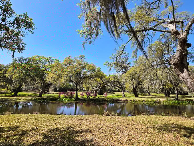 A mirror-perfect pond reflects centuries-old oaks, creating twice the majesty with half the effort &ndash; nature's efficiency at its finest.