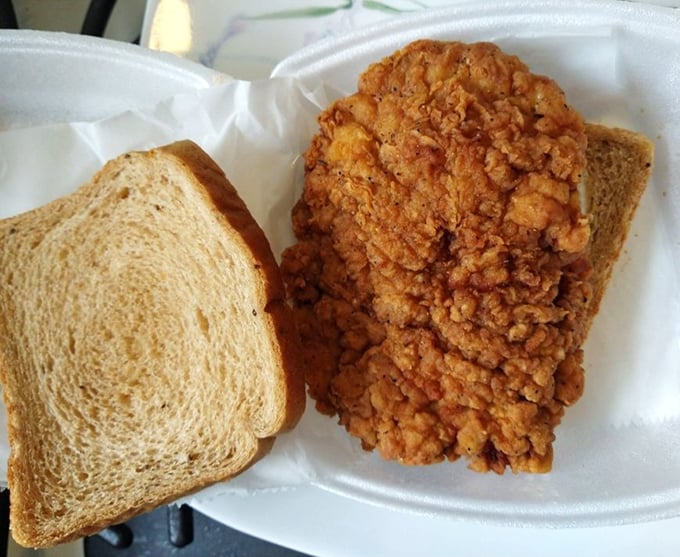 That pork tenderloin is so generously sized it makes the bread look like it's trying its best but losing gracefully.
