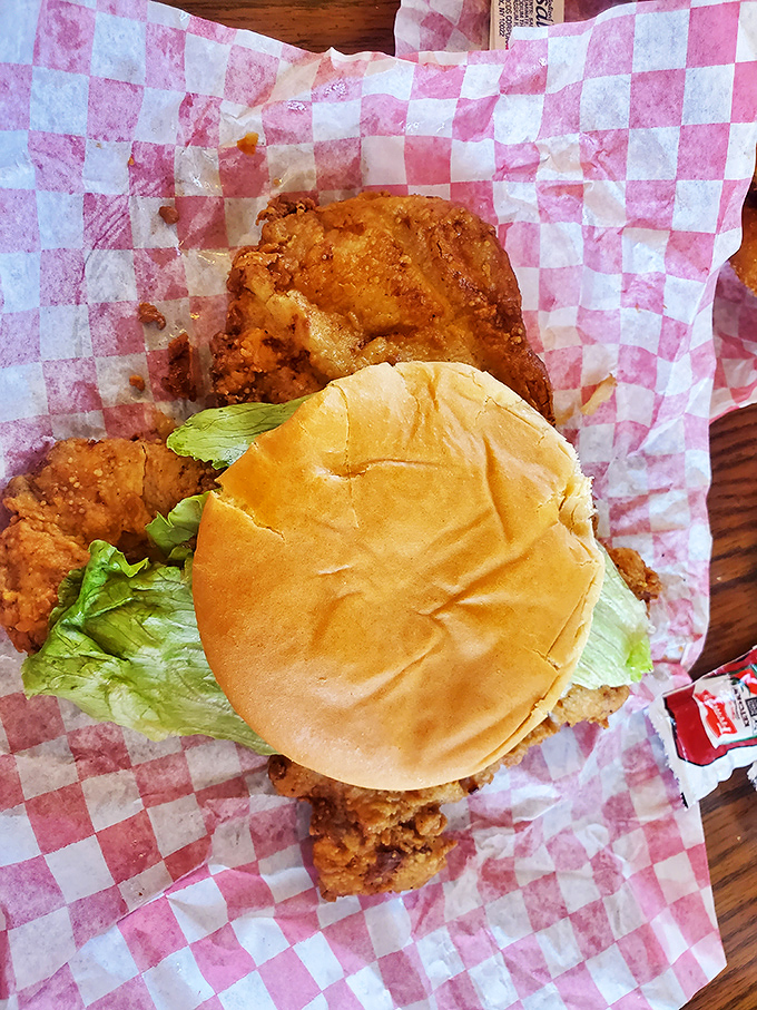 Indiana's beloved pork tenderloin, hanging rebelliously over the bun's edges like a delicious protest against sensible portion sizes.