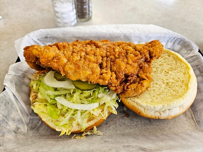 Indiana's state sandwich in its natural habitat. This breaded pork tenderloin refuses to acknowledge the boundaries of its bun—a Midwestern rebellion on a plate.