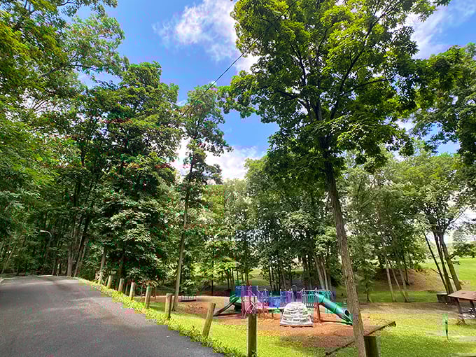 Princeton City Park offers that perfect blend of shade trees and playground equipment &ndash; childhood memories waiting to be made.