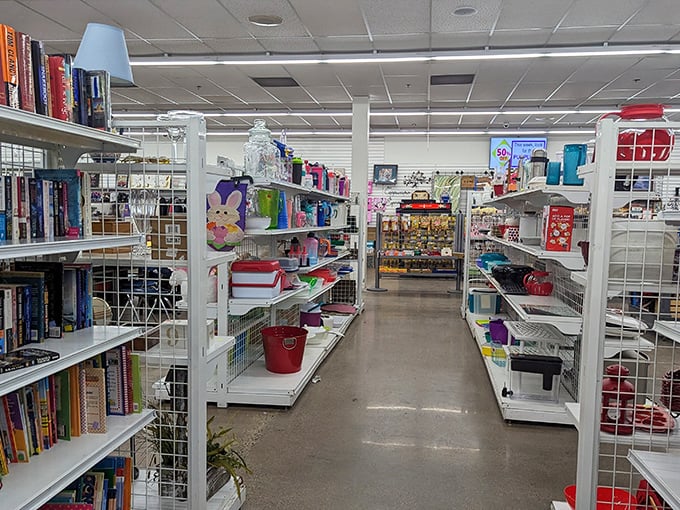 Books and household treasures line these aisles like an archaeological dig through modern American life &ndash; each shelf a different era.