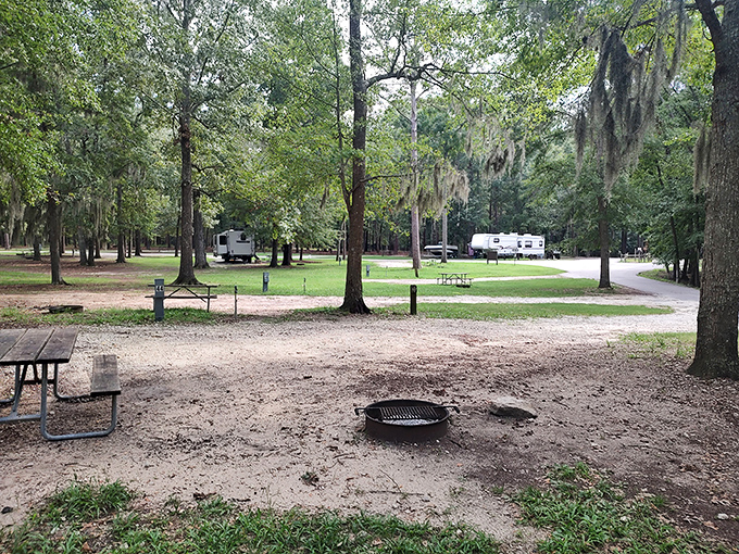 Spacious campsites nestled under Spanish moss-draped trees &ndash; where "roughing it" still includes a picnic table and fire ring.