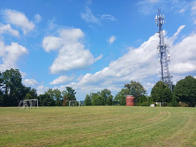Reservoir Hill Park proves that sometimes the best urban planning is simply leaving nature alone. Those soccer goals are just a bonus.