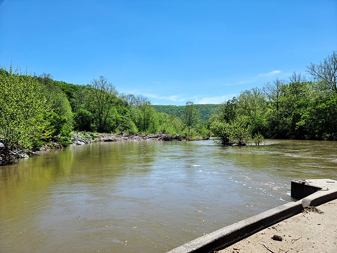 The river in springtime&mdash;swollen with possibility and mountain runoff, reminding us that nature operates on its own magnificent schedule.