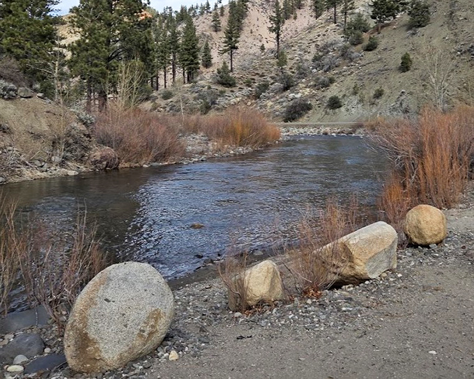 Nature's version of a meditation app. This Sierra stream has been soothing souls long before anyone charged $9.99 for recorded waterfall sounds.